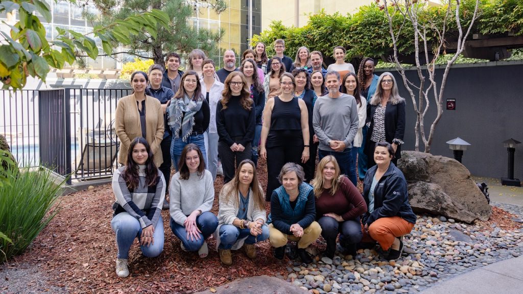 About | RDA Consulting